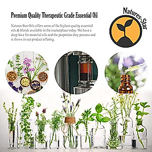 Natures-Star 16oz - Bulk Size Peppermint Essential Oil (16 Ounce Total) - Therapeutic Grade Essential Oil - Therapeutic Grade Peppermint Oil for Diffuser - Mint Essential Oil for Candle Making