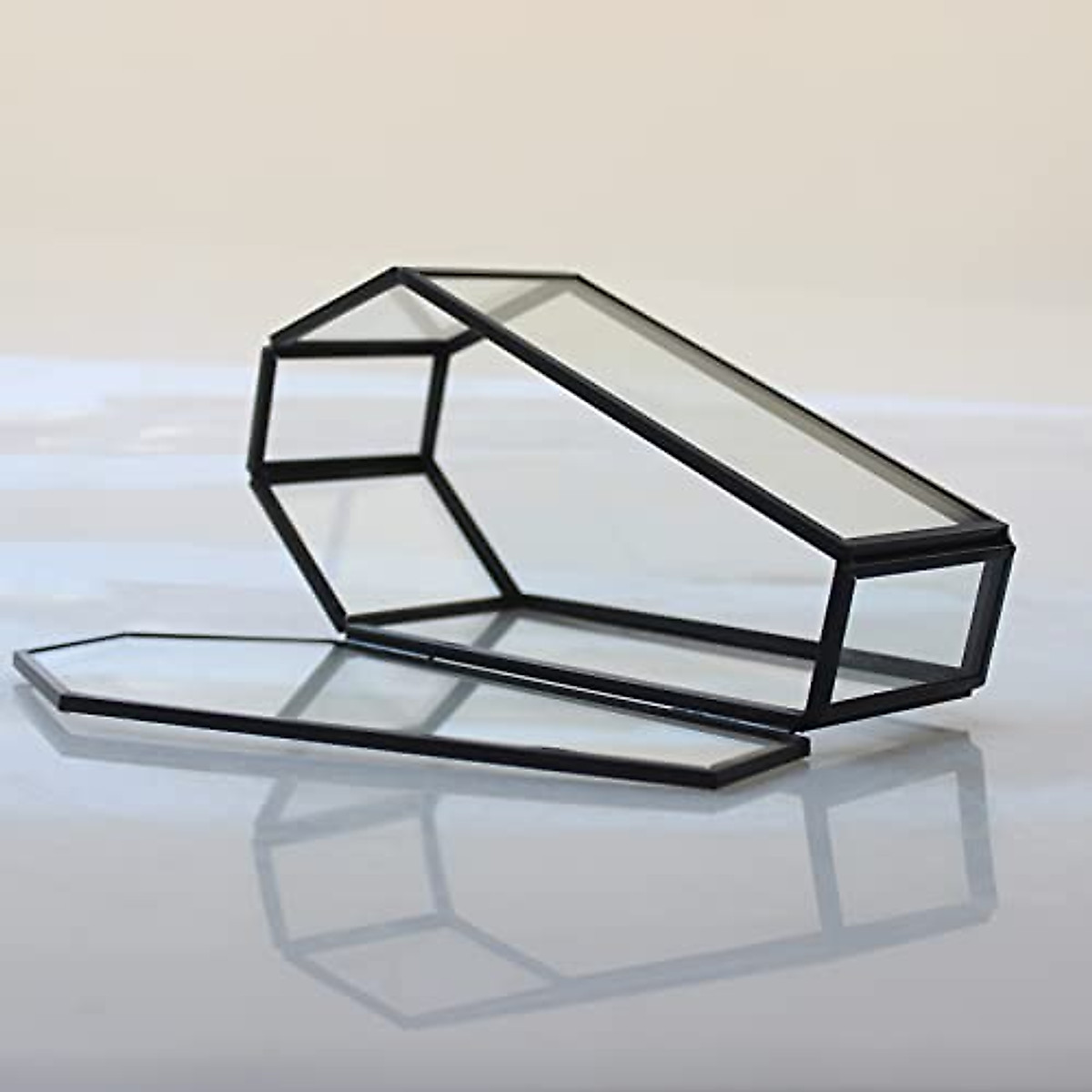 libproqia Small Coffin Glass Jewelry Box Black Trinkets Glass Coffin Terrarium Gothic Halloween Storage Vintage Coffin Box Glass Vampire Keepsake Display Organizer