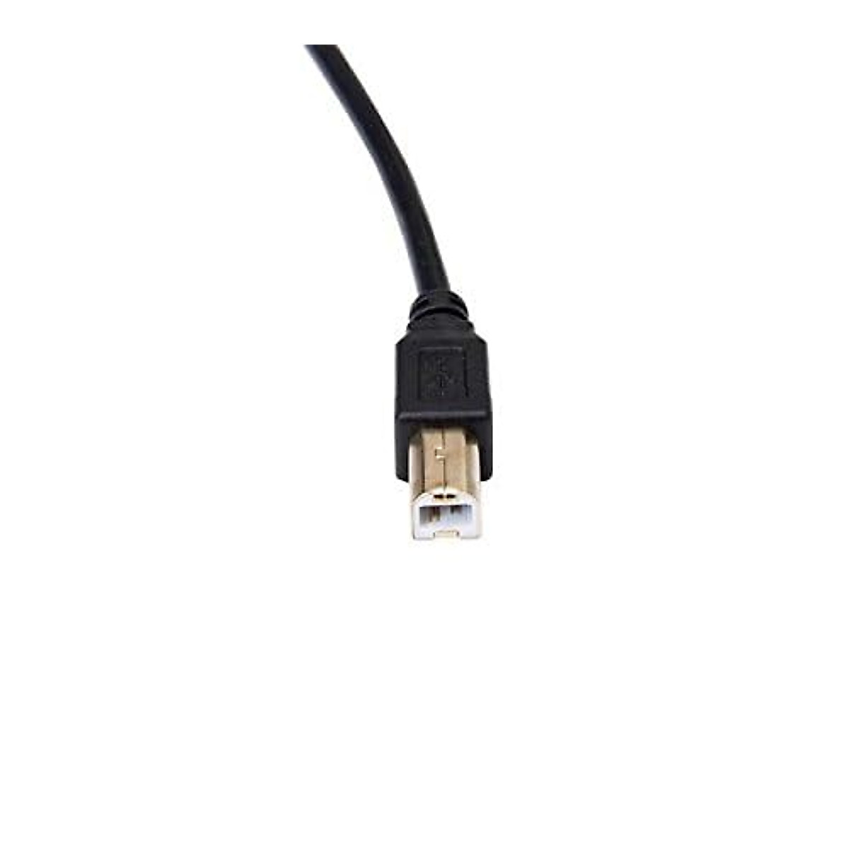 OMNIHIL 8 Feet Long High Speed USB 2.0 Cable Compatible with Brother Printer HL-6180DW/BROTHER HL-L2370DW/Brother HL-L6250DW/Brother MFC-7240/ Brother QL-810W