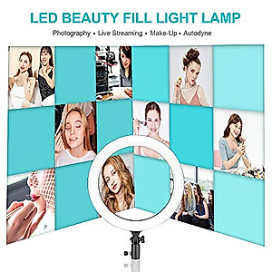 Godox LR120 12" LED Ring Light with Desktop Stand & Cell Phone Holder, USB Powered Conference Light CRI>90 Color Temperature 3000K to 6000K for TikTok/Live Stream/Makeup/Zoom Call & YouTube (Black)