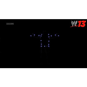 WWE '13