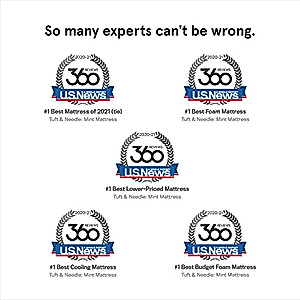 TUFT & NEEDLE 2020 Mint Queen Mattress - Extra Cooling Adaptive Foam with Ceramic Cooling Gel and Edge Support - Antimicrobial Protection Powered by HEIQ - CertiPUR-US - 100 Night Trial