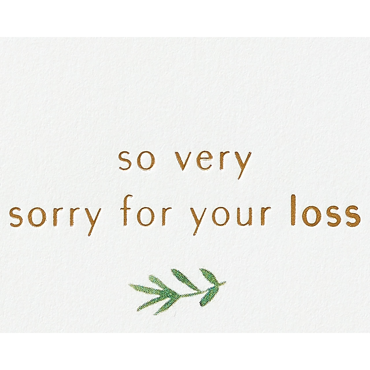 Papyrus Sympathy Card (So Very Sorry)