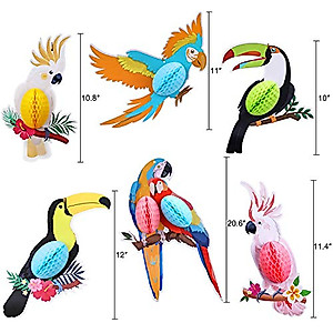HOWAF 6 Pieces Tropical Birds Honeycomb Parrot Hawaiian Summer Beach Tiki Bar Luau Party Hanging Decorations