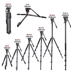 Cayer CF2451 Video Tripod 77 inches Carbon Fiber Tripod Leg with Fluid Drag Head, 4-Section Compact DSLR Tripod Convertible to Monopod for DSLR Camera, Video Camcorder