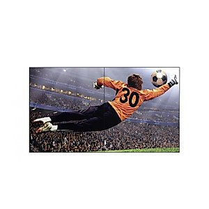 49vl5g-m vl5g-m series - 49'' LED backlit lcd display 49vl5g-m.aeu