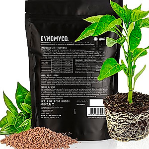 DYNOMYCO Premium Mycorrhizal Inoculant - Root Enhancer/Stimulator - Mycorrhizae for Plants - Concentrated Mycorrhizal Inoculant - Supreme myco strains - Treats up to 68 Plants! (340 g / 12 Oz)
