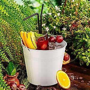 Rtteri 24 Pcs Metal Bucket, Small Metal Bucket, Party Favor Buckets with Handle, 6 x 5 Inch Ice Bucket for Kids, Flower Pot Plant Basket, Mini Toy Containers for Crafts Candy (White)