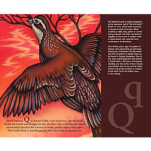 S is for Sunflower: A Kansas Alphabet (Discover America State by State)