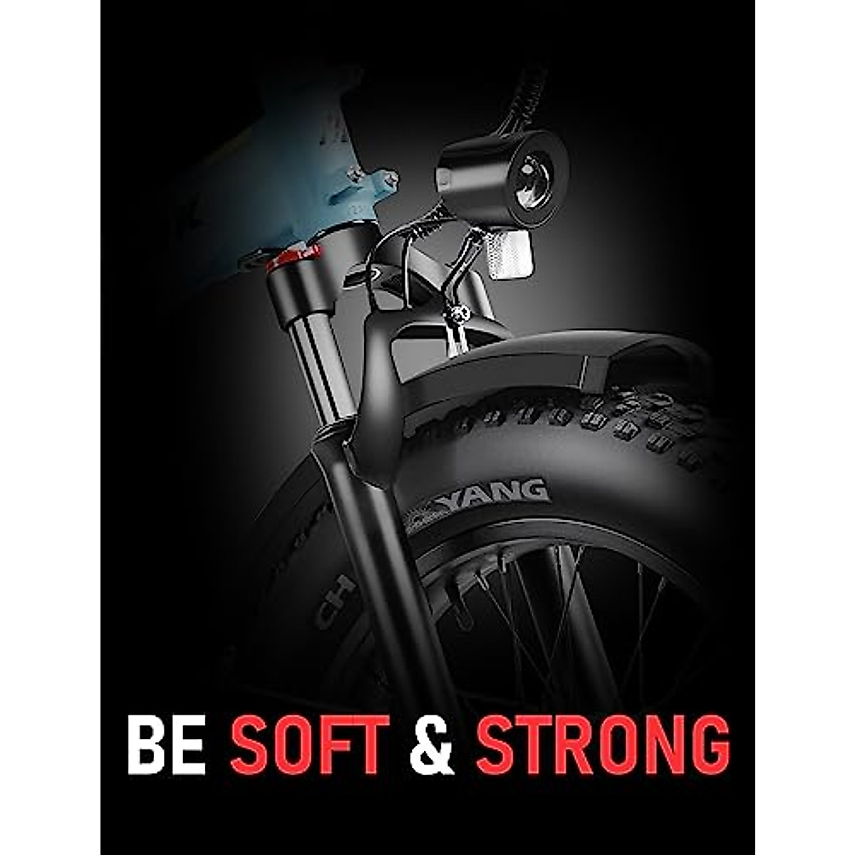 Hipeak Bona Electric Bike for Adults, Ebike 750W/48V/15Ah, 20" x 4.0" Fat Tire Electric Bike Folding with Removable Battery, Step-Over Folding Adult Electric Bicycles Front Shock Absorber