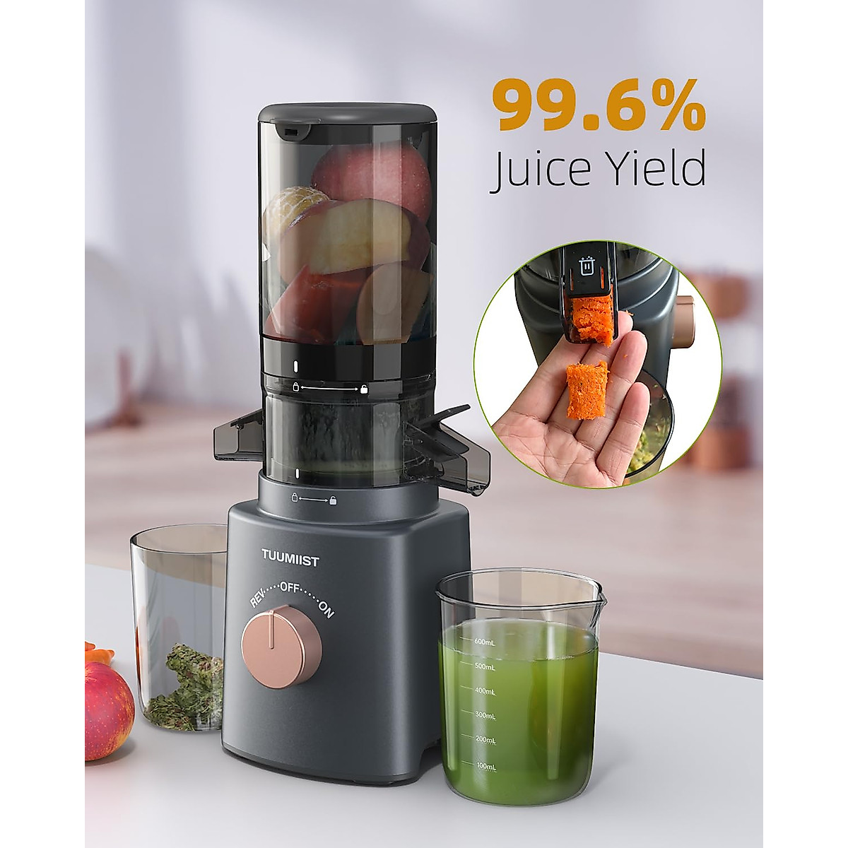 Juicer Machines, TUUMIIST Cold Press Juicer with 4.25'' Large Feed Chute Fit Whole Vegetable And Fruit, Masticating Juicer Easy To Clean, Gun Grey