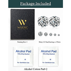 5 Pairs Stud Earrings Set, Hypoallergenic Cubic Zirconia 316L Earrings Stainless Steel CZ Earrings 3-8mm (Steel color)