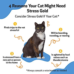 Pet Wellbeing Stress Gold for Cats - Occasional High Stress and Restlessness, Supports Relaxation, Travel, Vet Trips, Skullcap, Valerian - Veterinarian-Formulated Herbal Supplement 2 oz (59 ml)