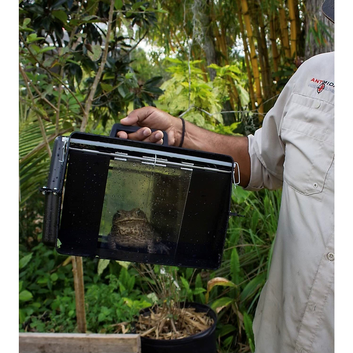 Cane Catcher - Cane Toad Catcher Trap - Humanely Protect Your Pets from Poisonous Cane Toads