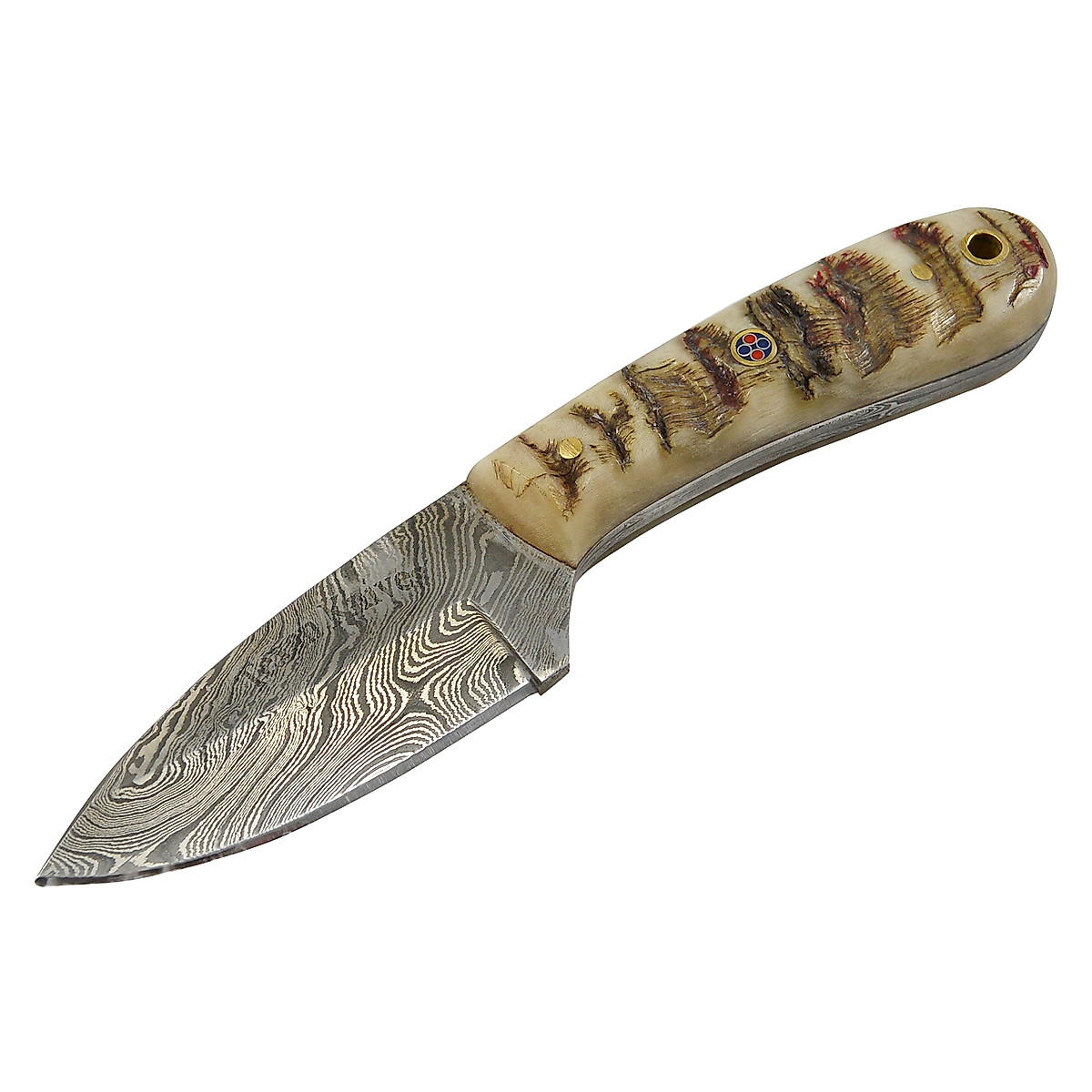 Texan Knives Damascus Steel Short Skinner Knives Fixed Blade Knife with Sheep's Horn Handle Includes Leather Sheath, 6.75" L