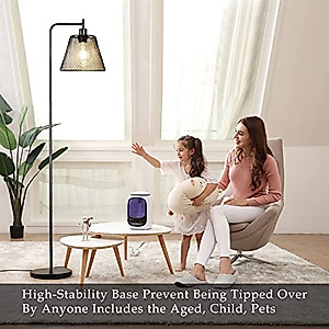 Feohak Industrial Floor Lamp, Standing Lamp with Hanging Iron Mesh Lamp Shade Whole Metal Farmhouse Floor Lamp with Foot Switch,68 inch Tall Modern Rustic Floor Lamps for Living Room Bedroom, Black