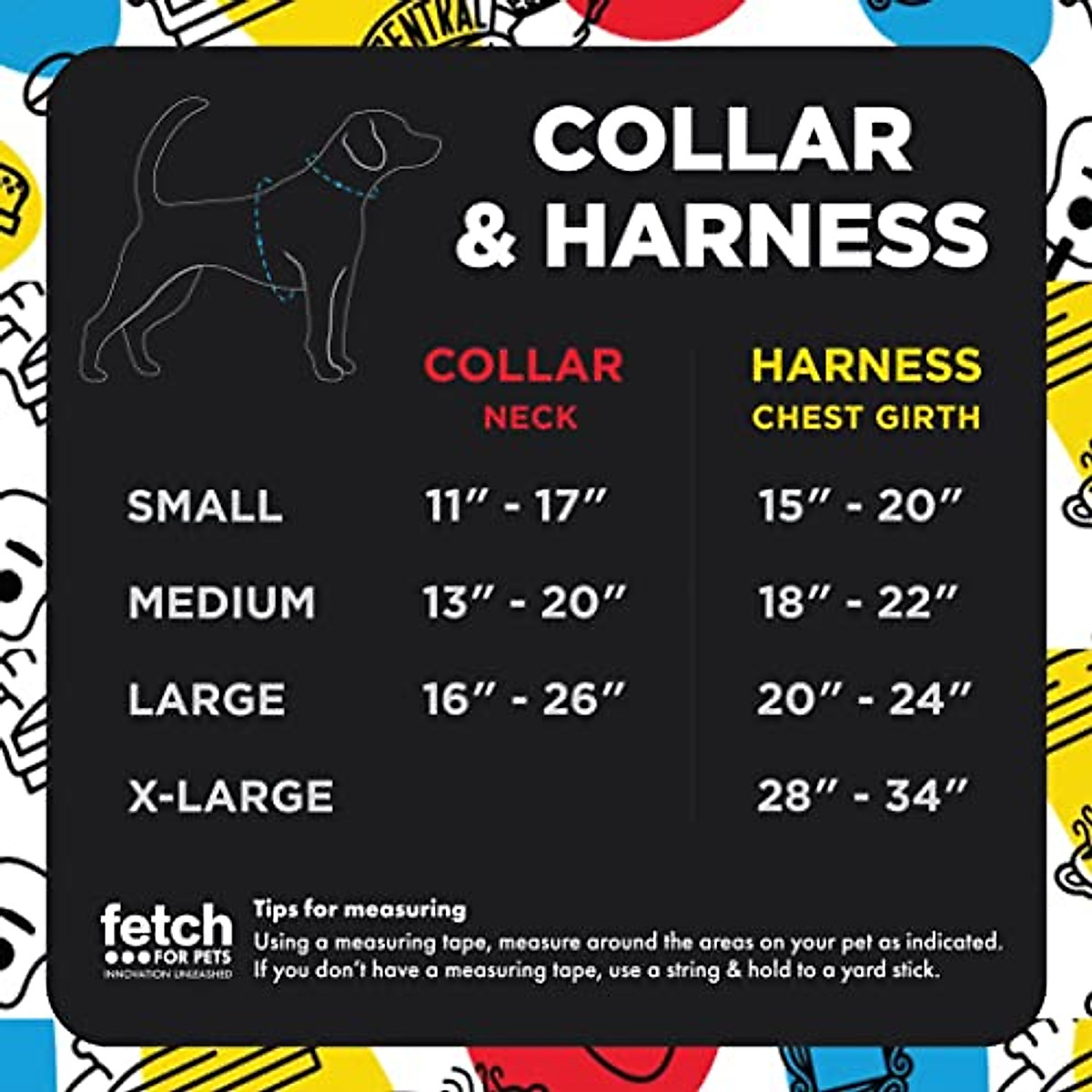 Friends the TV Show Iconic Graphics Dog Collar for Medium Dogs, Medium (M) | Black Medium Dog Collar, Cute Dog Collar with D-Ring | Dog Apparel & Accessories Friends Merch for Dogs from Friends