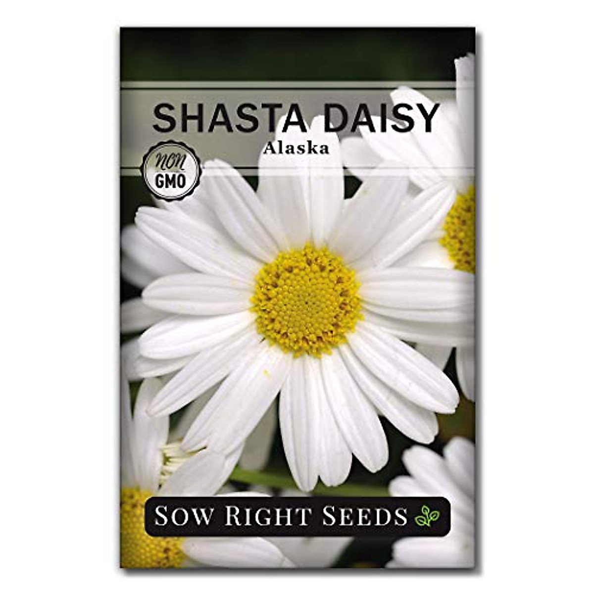 Sow Right Seeds - Moon Garden White Flower Seeds for Planting - Daisies, White Poppy, Polar Bear Zinnia, and Moonflower Seeds - Non-GMO Variety to Plant a Stunning Evening Moon Flower Garden