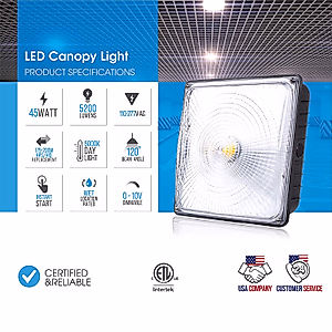 PARMIDA LED Canopy Light, 45W, 0-10V Dimmable,110-277VAC, IP65 Waterproof, ETL-Listed, 5000K (Day Light), 9.6" x 9.6", Gas Station, Street, Area & Outdoor Lighting, Bronze