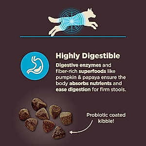 Wellness CORE Digestive Health Dry Dog Food with Wholesome Grains, Highly Digestible, for Dogs with Sensitive Stomachs, Made in USA with Real Protein (Whitefish & Brown Rice, 4-Pound Bag)