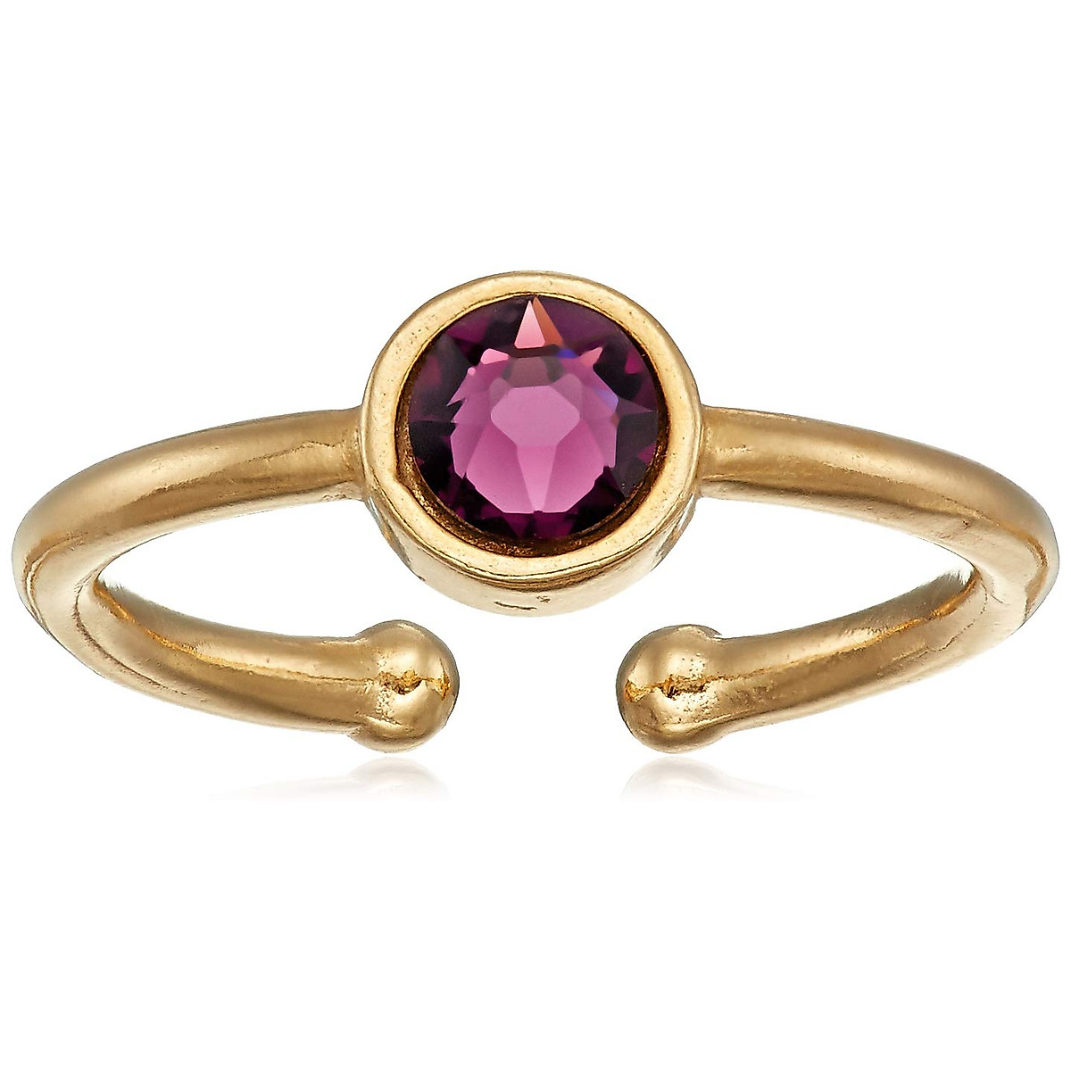 Alex and Ani Women's Swarovski Color Code Adjustable Ring February Amethyst Color, 14kt Gold Plated