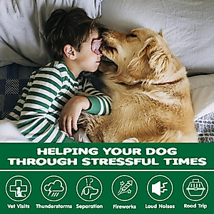 ziehooGe Dog Calming Chews - Anxiety Relief Treats, Hemp Chews for Dogs Separation, Stress Relief, Sleep Calming Aid Chicken Flavor Dog Supplements 120 Chews