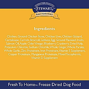 Raw Naturals by Stewart Freeze Dried Dog Food in Resealable Pouch, 12-Ounce, Chicken