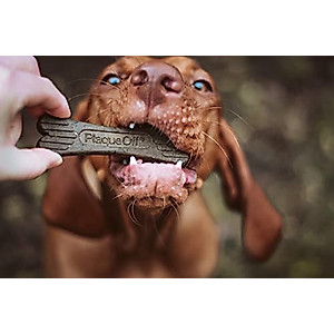 ProDen PlaqueOff System Dental Care Bones for Dogs - Vegetable 17 oz