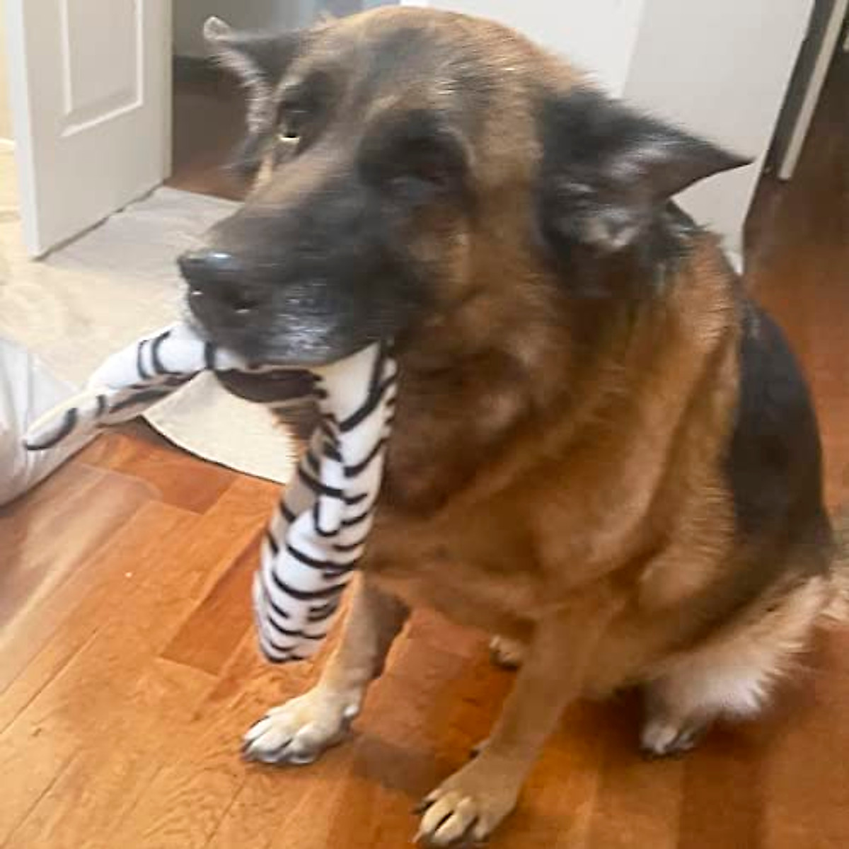 Jalousie 5 Pack Stuffingless Dog Squeaky Toys Dog No Stuffing Dog Toy - Medium Large Dogs Long Tail w/ Squeakers and Crinkle Paper