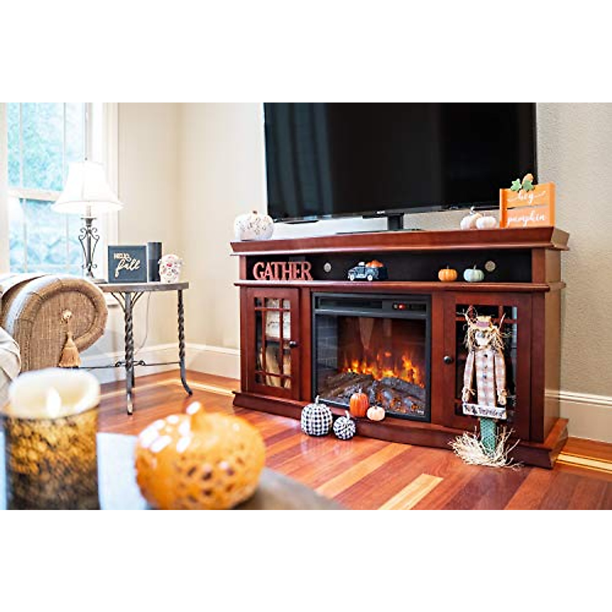 e-Flame USA Jackson 25"x21" LED Electric Fireplace Stove Insert with Remote - 3D Logs and Fire (Black)