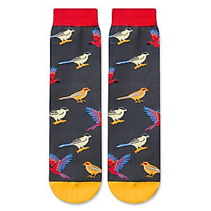 HAPPYPOP Funny Socks for Men Teens - Bird Gifts for Women, Birder Gifts Bird Socks Bird Stocking