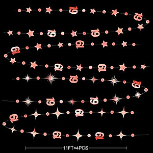 Rose Gold 19th Birthday Decorations Number 19 Circle Dot Star Garland Streamer Bunting Banner Backdrop for Girls Nineteen Year Old Birthday 19 and Fabulous Happy 19th Anniversary Party Supplies
