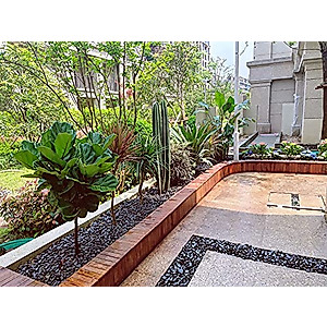 FANTIAN 5lb Natural Polished Black River Rocks - Decorative Black Pebbles for Indoor Plants,Black Stones for Planters, Vase, Crafting, Garden Landscape Rocks and Outdoor Decorative Stones