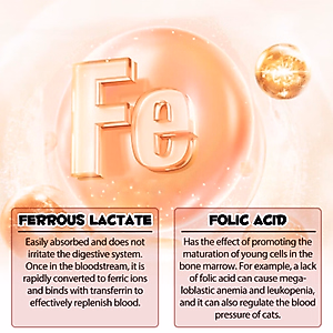 Iron Supplements for Cats, 60ML Liquid Iron with Folate and B12 Supports Anemia, Low Enery Levels and Lethargy, Promotes Red Blood Cell Formation and Blood Health