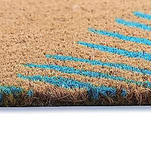 Liora Manne Natura Door Mat - Novelty Designs, Durable Natural Coir & Vinyl Back, Long Lasting Color, Foyers, Porches, Patios & Decks, Welcome, 2' x 3'