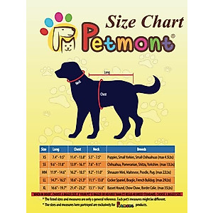 PETMONT Sports T-Shirt for Pets Desing: Unleash The Beast Black and Neon Orange and Black Great for Small and Medium Dogs Size Extra Large