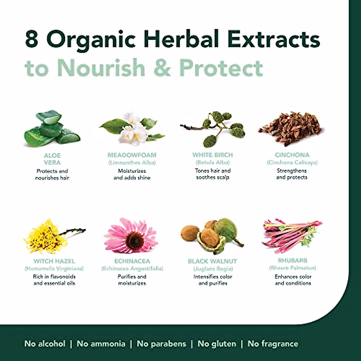 Herbatint Permanent Haircolor Gel, 3N Dark Chestnut, Alcohol Free, Vegan, 100% Grey Coverage - 4.56 oz