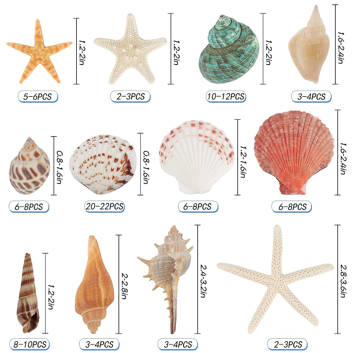 Jangostor Sea Shells Mixed Ocean Seashells, 1.2"-3.5" Various Sizes Beach Seashells and Natural Starfish for Vase Fillers Fish Tank Beach Themed Party Home Wedding Decorations DIY Crafts