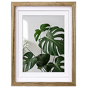 Egofine 12x16 Picture Frame with Plexiglass Made of Solid Wood, Display Pictures 9x12/11x14 with Mat or 12x16 Without Mat for Tabletop and Wall Mounting, Carbonized Brown
