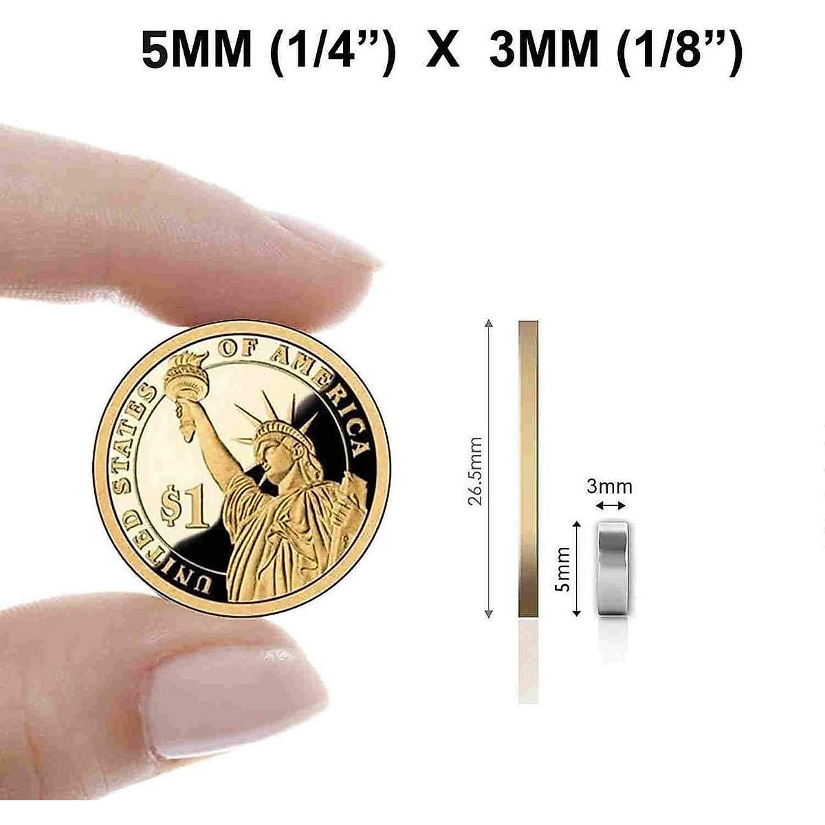 30 Pcs 5x3 mm Fine Clutter Small Magnets | Heavy Duty Magnets Fridge | Button Magnets | Small Magnets for Crafts | Mini Magnet | Small Circle Magnets | Bulk Magnets for Collars Whiteboard