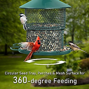 Wild Bird Feeder Squirrel Proof for Outdoors Hanging, Squirrel Proof Bird Feeder for Garden Yard, 4 lbs Seed Capacity, Backyard Garden Yard Decor