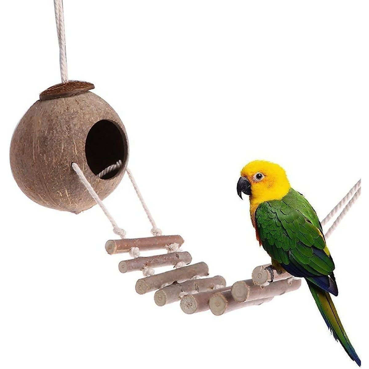 Natural Coconut Shell with Wood Ladder Bird Breeding Nest Bed Perch Swing Toy for Parrot Budgie Parakeet Cockatiel Conure Lovebird Canary Finch Small Parrot Hamster Rat Chinchilla Cage