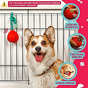 FOSSA Interactive Dog Toys, Crate Training Aids for Puppies, Puzzle Treat Dispenser with Rope