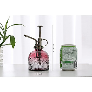 Glass Plant Mister Spray Bottle, 6.3inch Tall Vintage Plant Spritzer Watering Can, Succulent Watering Bottle with Top Pump, Plant Mister Glass Watering Garden Tool (Grey Red Gradient)