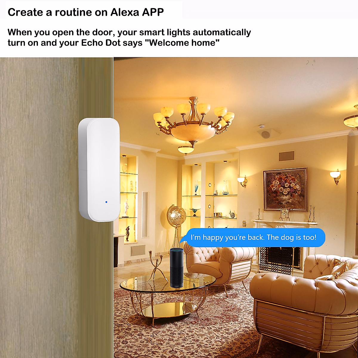 WiFi Door Sensor, Smart Window Door Sensor, Alexa Door Window Contact Sensor for Home Security, Door Open Detector with Alert Notification Compatible with Amazon Alexa, Assistant (1 Pack)