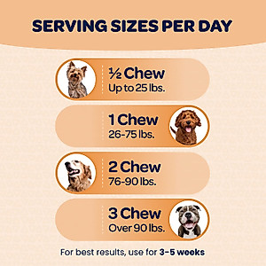 Ready Pet Go! Omega 3 & Turmeric Chews for Dogs | Hip & Joint Support | Fish Oil for Dog Shedding, Skin Allergy, Itch Relief | 90 Chews Each