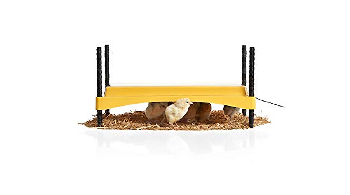Brinsea Eco Glow Safety 1200 Brooder for Chicks & Ducklings