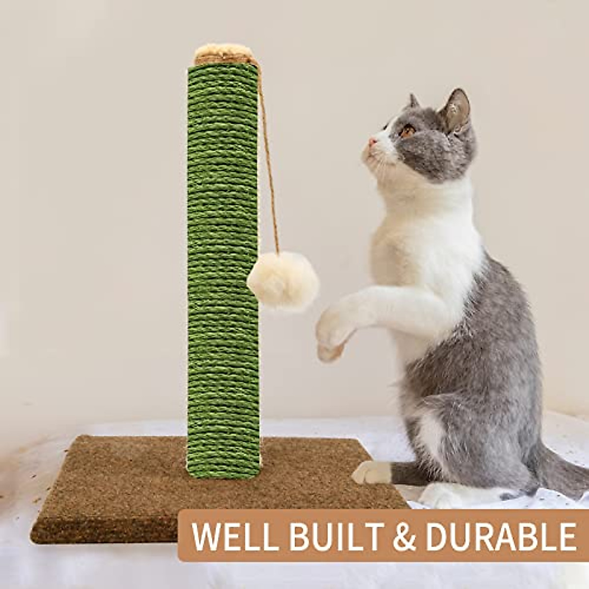 Green Natural Sisal Rope 1/4 Inch 6mm 98-Feet for Cat Scratching Post Tree Tower Replacement Repair and Replace, DIY Hemp Twine Rope for Cat Scratching Furniture Window Perch and Crafts Gardening