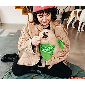 V-Planet Kind Jerky - 100% Vegan Jerky Dog Treats - Plant Based Protein and Superfoods - 8 Ounce - All Natural - Made in The USA