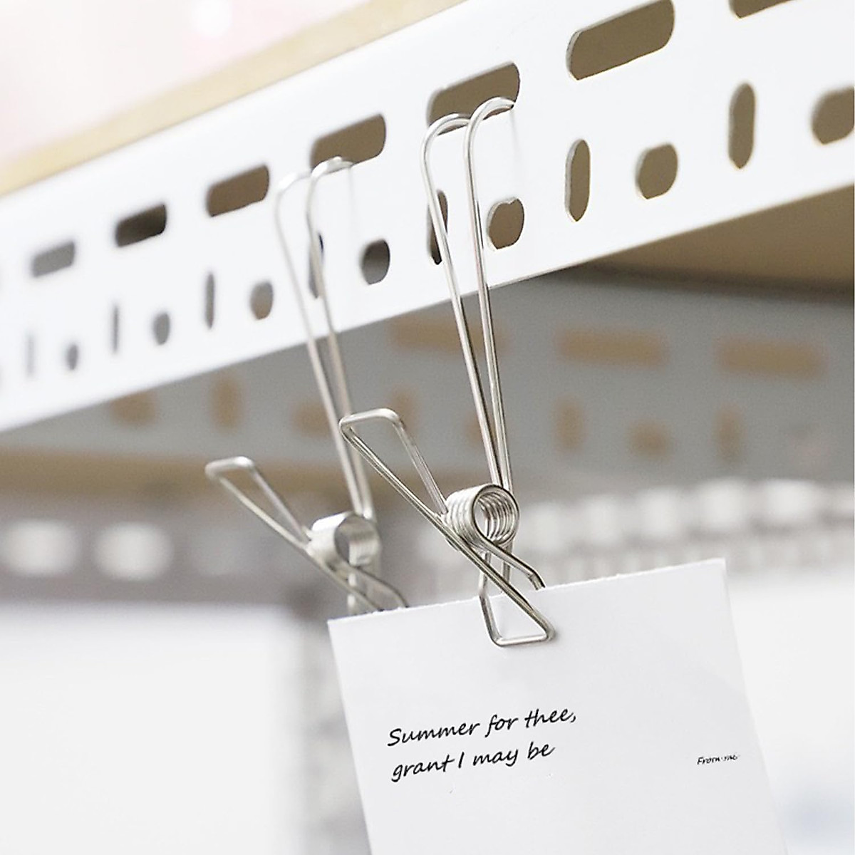 10 Pcs 304 Stainless Steel Clips All Metal Long Tail Clip Strong Grip for Holding Clothes Photos Snack Bag and Sundries in Bathroom Kitchen Office